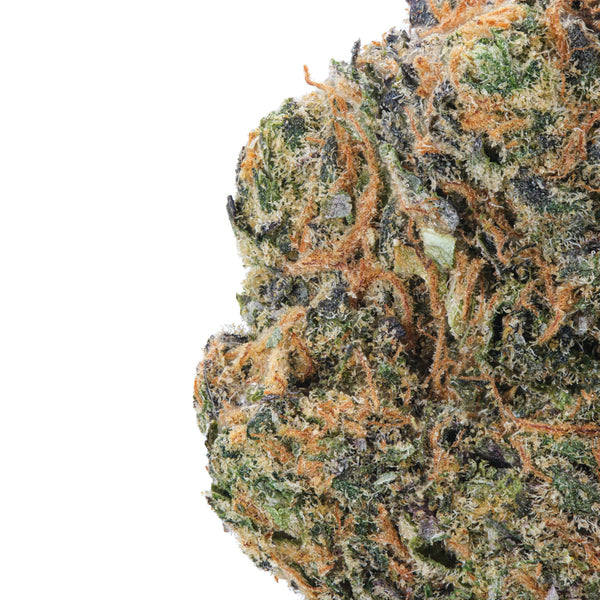 Cannabis as a Natural Alternative: A Promising Path to Replace Norco a ...